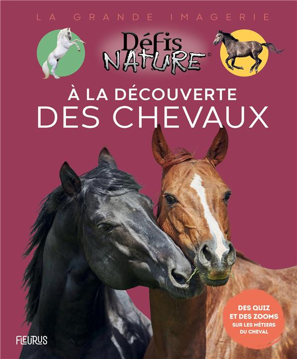 À la découverte des chevaux / Fleurus / Claire Neveux / Claire Neveux ...